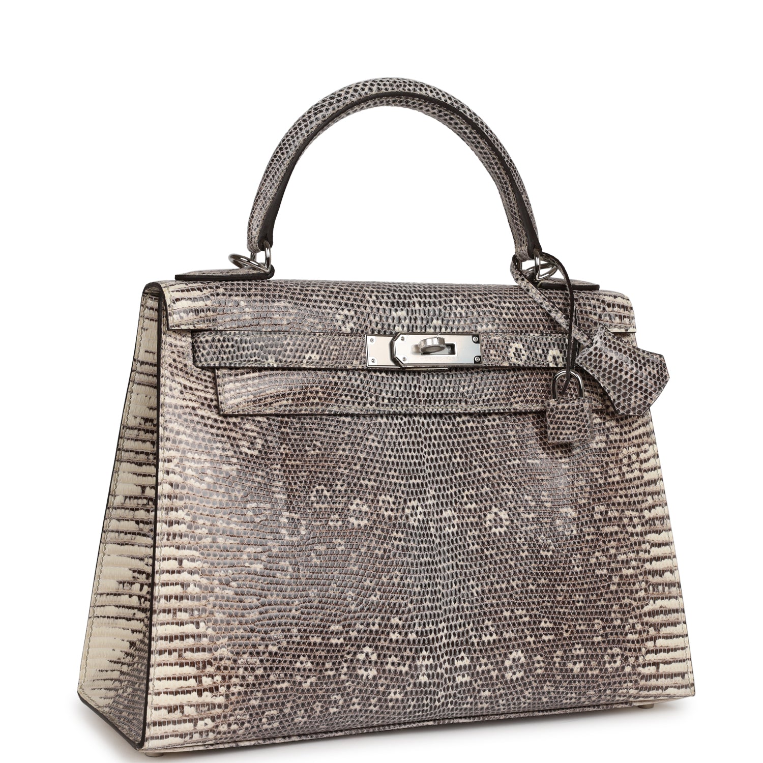 Hermes Kelly 28 Sellier Ombre Veranus Salvator Lizard Palladium Hardwa ...